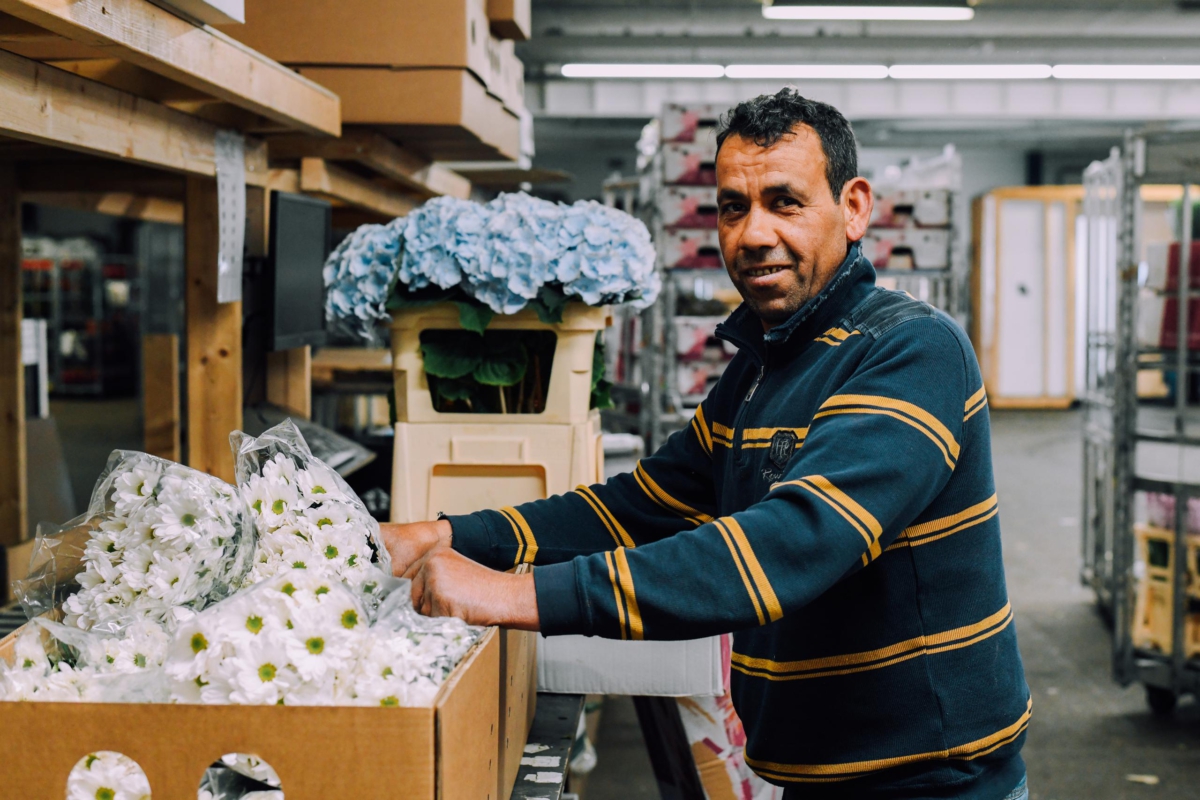 Retail Flowers & Plants - Brightening the World Together