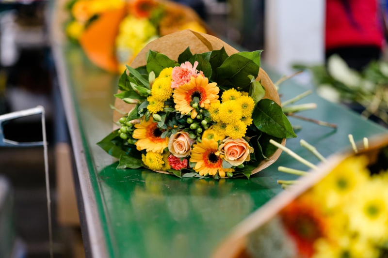 Retail Flowers & Plants - Brightening the World Together