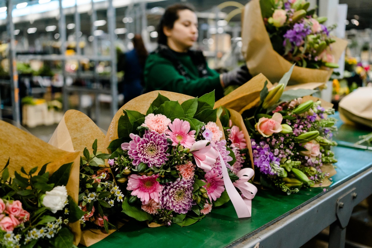 Retail Flowers & Plants - Brightening the World Together